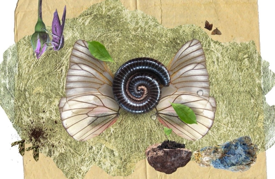 Nature as Medium: Art in Conversation with the Earth | ‘Andy ...